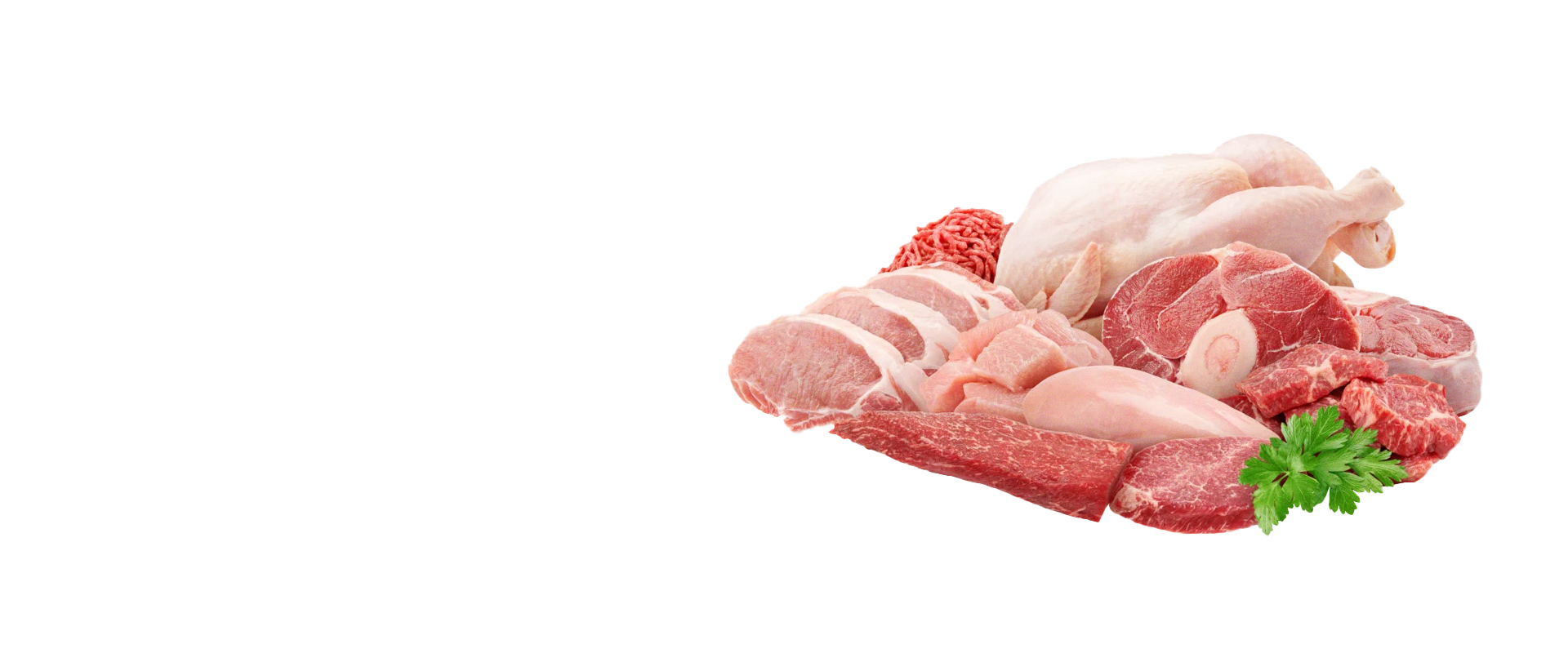 Beef – Beef Initiative