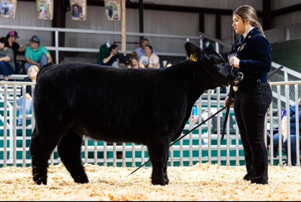 The Beef Initiative - Championing localized food supply