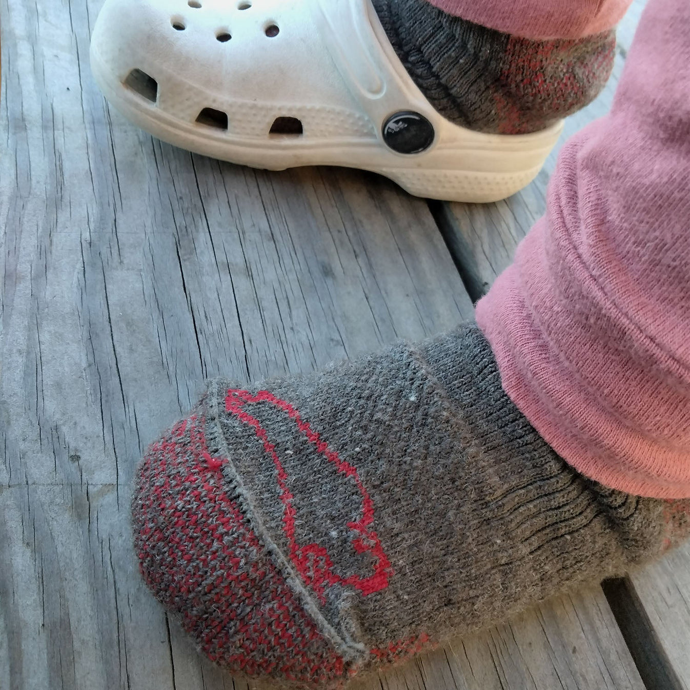 Red Dog Kids American Field Jr. - Crew Socks – Beef Initiative